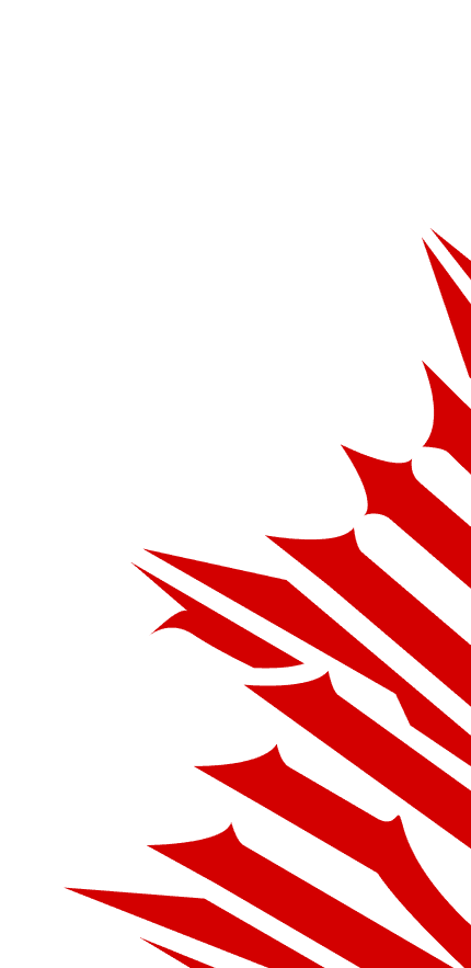 D'YAVOL